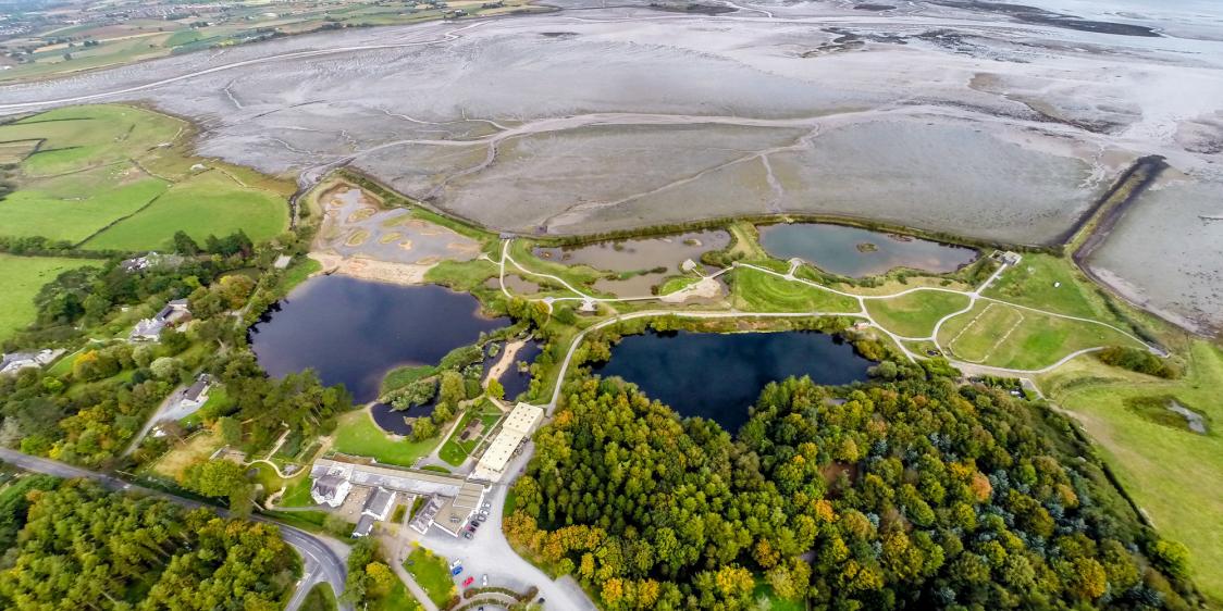 Castle Espie Wetland Centre | Creative Peninsula